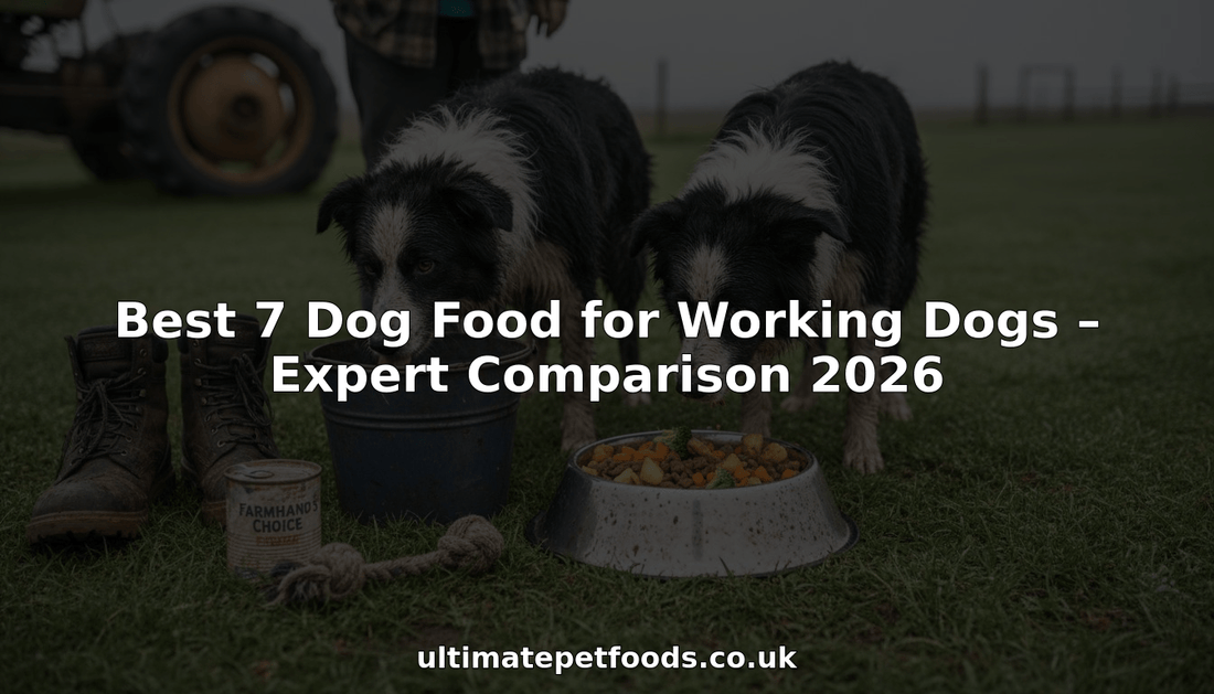 Best 7 Dog Food for Working Dogs – Expert Comparison 2026